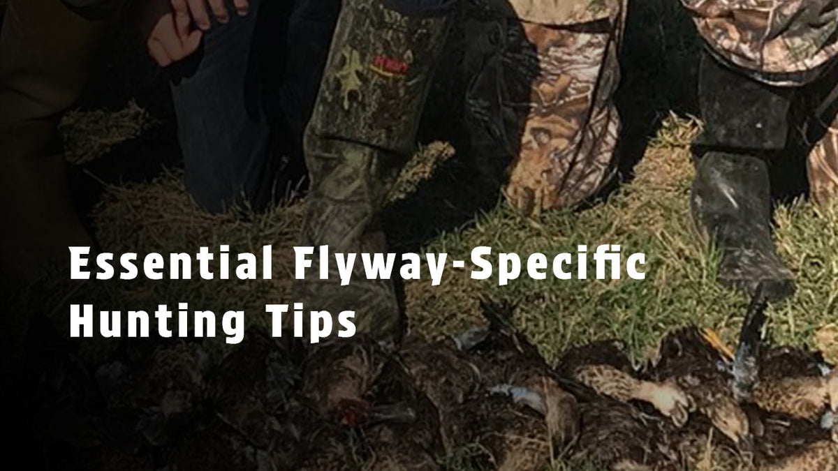 Duck Hunting Flyways & Seasons Guide | Best Times & Locations
